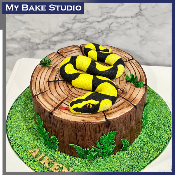 Snake Cake - My Bake Studio